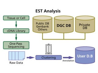 SNPs and ESTs.pptx