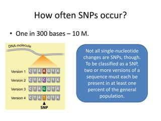 Snps and microarray | PPT
