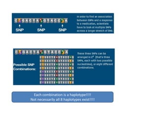 Snps and microarray | PPTX