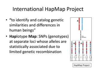 SNPs Presentation Cavalcanti Lab | PPTX