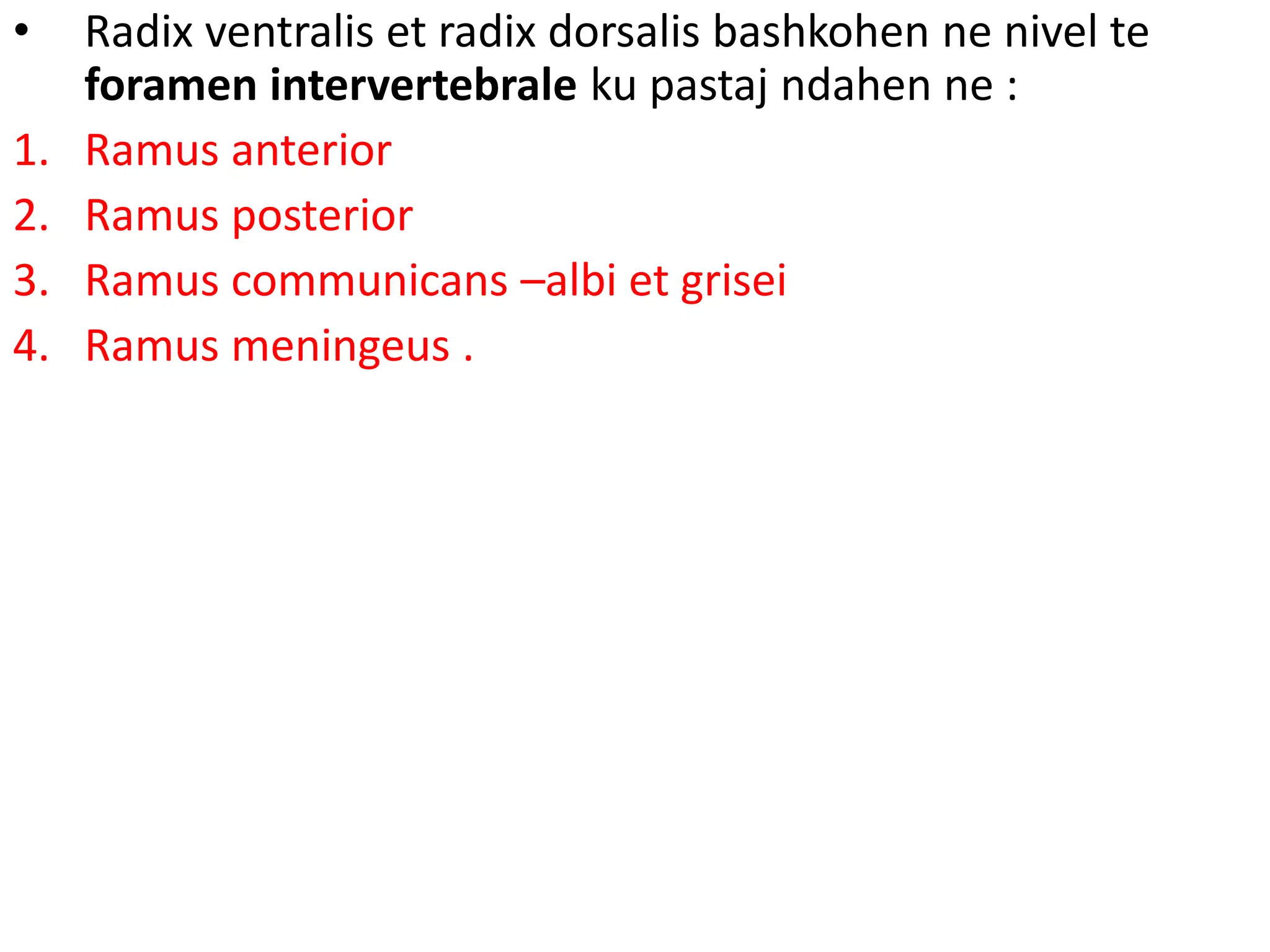 SISTEMI NERVOR QENDROR | PPTX