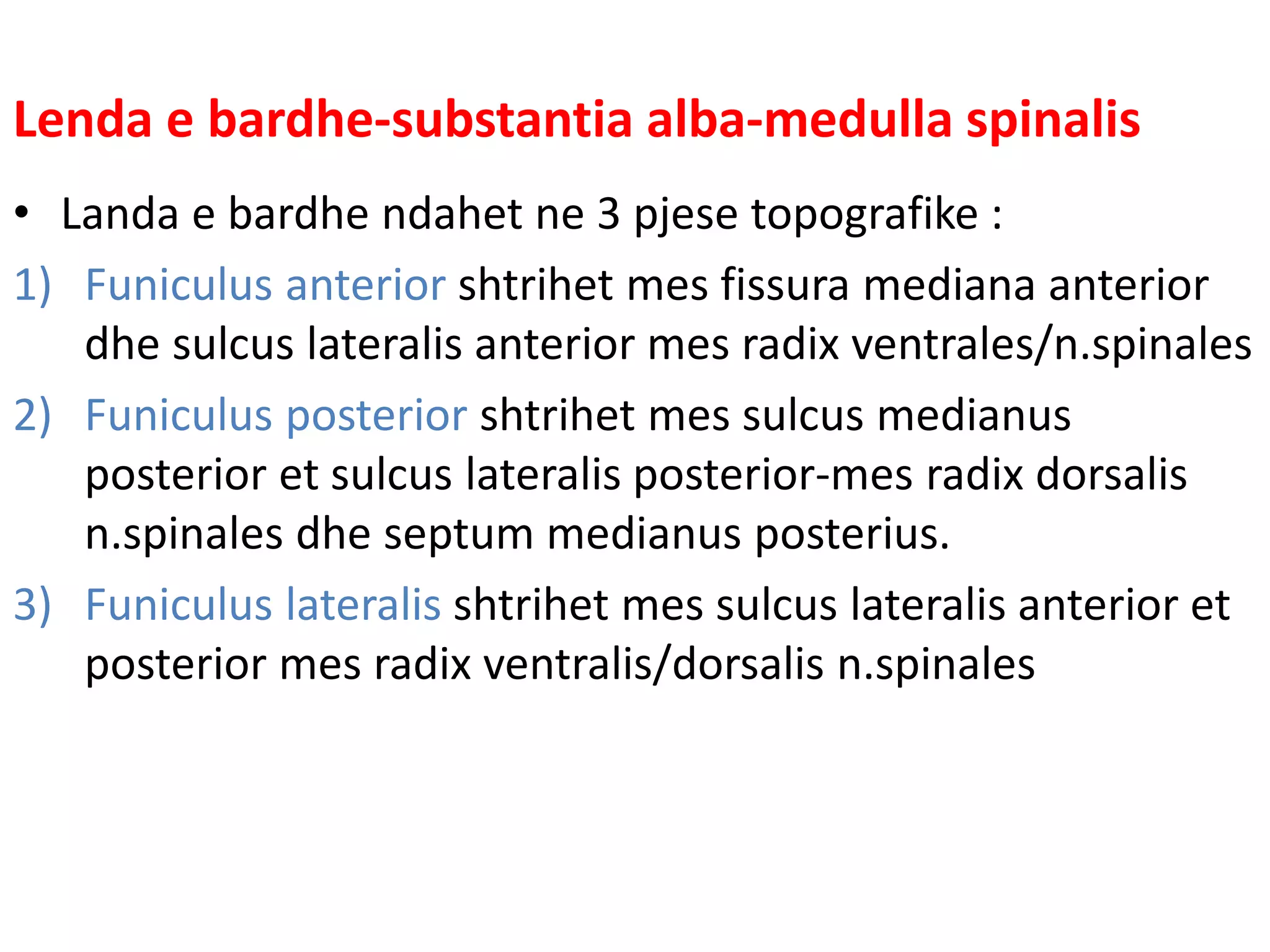 SISTEMI NERVOR QENDROR | PPTX