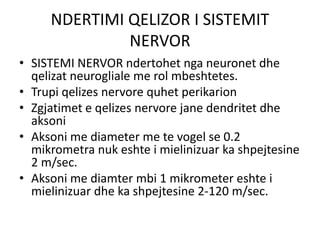 SISTEMI NERVOR QENDROR | PPTX