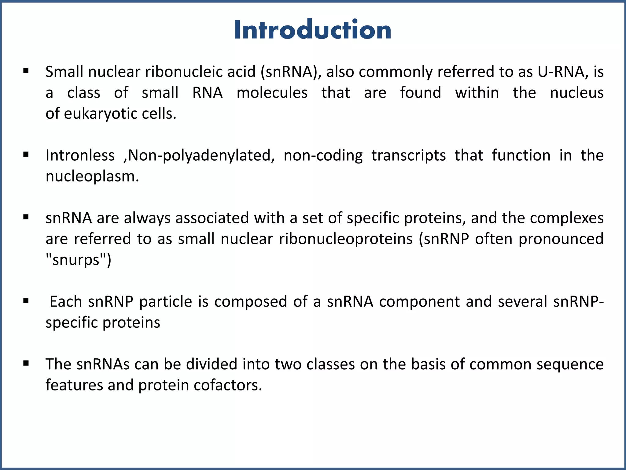 Small nuclear rna | PPTX