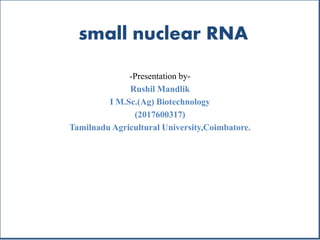 Small nuclear rna | PPTX