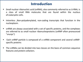 Small nuclear rna | PPTX