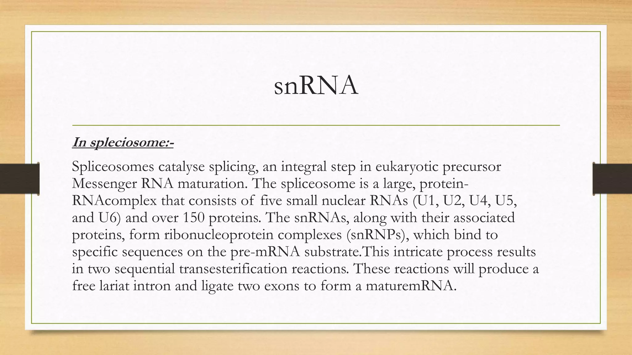 Sn rna | PPTX