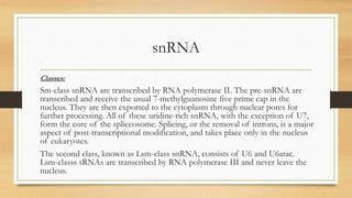 Sn rna | PPTX