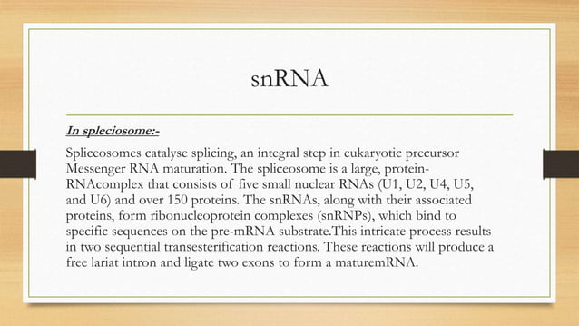 Sn rna | PPTX
