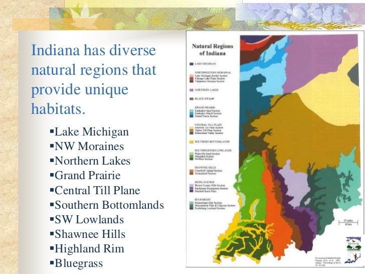 Indiana's Wildlife - Sustainable Natural Resources Task Force 11/10/11