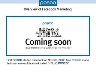 SNS Advertising Media Planning_POSCO | PDF