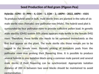 seed science for agronomy msc agriculture ppt.pptx