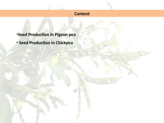 seed science for agronomy msc agriculture ppt.pptx