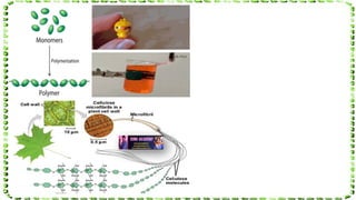 Synthetic Fibers and Plastics Class VIII - Biology CBSE | PPTX