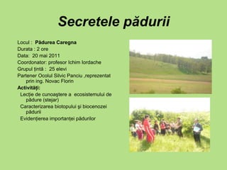 Să învăţăm despre pădure | PPT