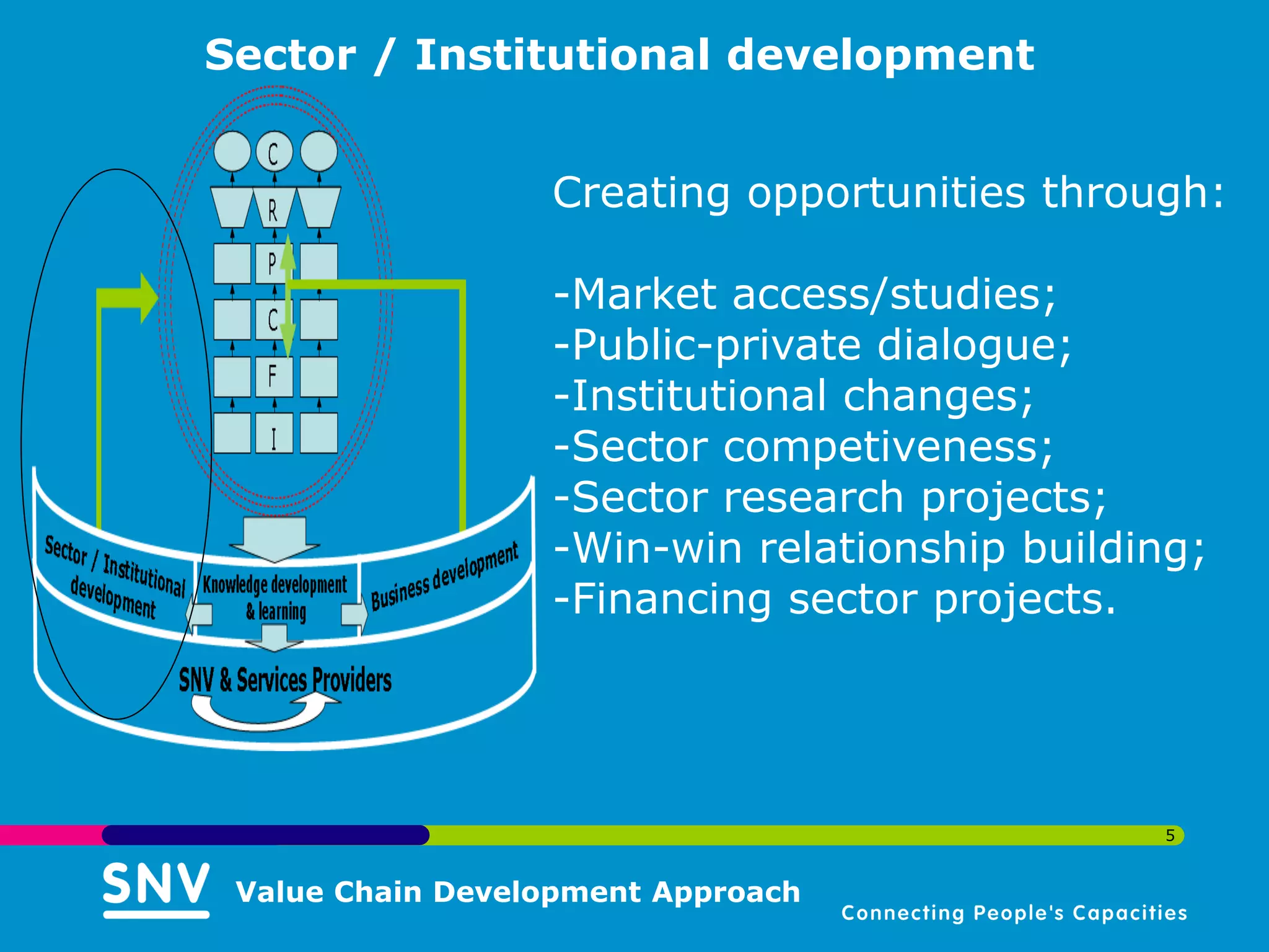Snv value chain | PDF