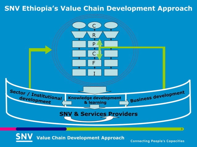 Snv value chain | PDF | Agriculture | Industries