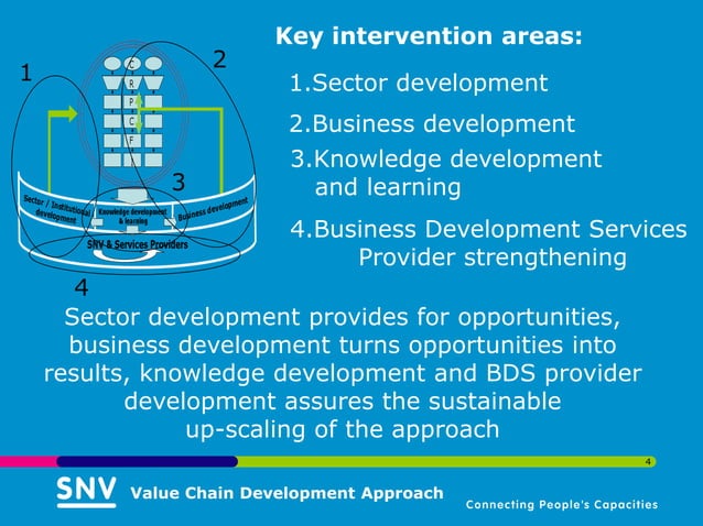 Snv value chain | PDF | Agriculture | Industries
