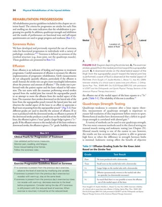 snyder-mackler2012.pdf | Death, Injury, or Military Conflict ...