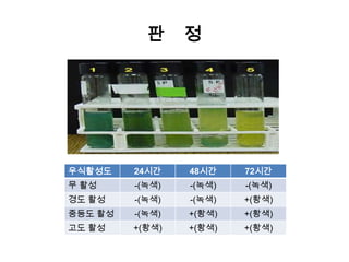 Snyder test 복사본 | PPTX