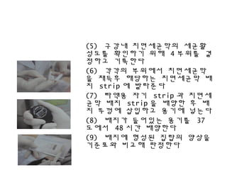 Snyder test&alban test&s mutans screening&타액분비능검사 | PPT