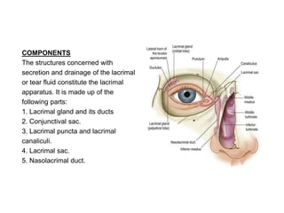 Eyelids & Lacrimal Apparatus | PPTX