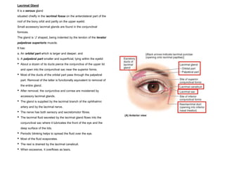 Eyelids & Lacrimal Apparatus | PPTX