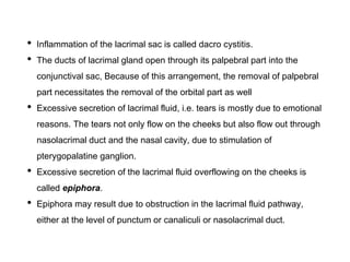 Eyelids & Lacrimal Apparatus | PPTX