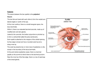 Eyelids & Lacrimal Apparatus | PPTX