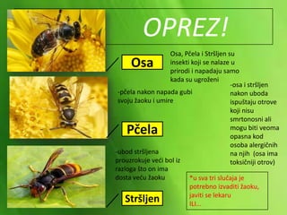 Ublažavanje bola kod uboda pčele | PPT