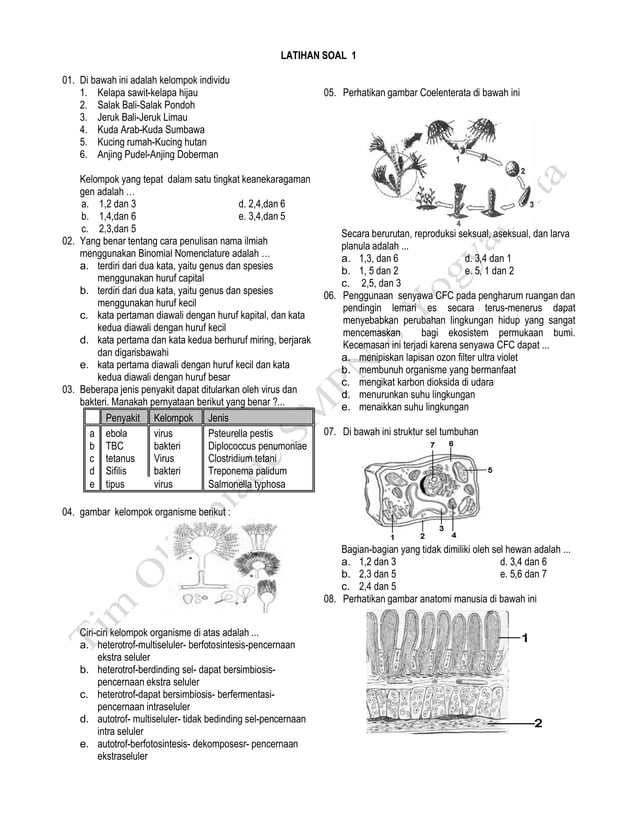 Soal latihan-osn-biologi 1 | PDF