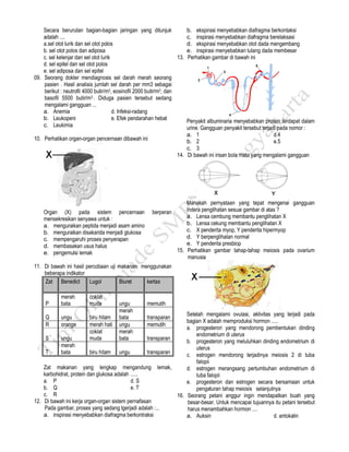 Soal latihan-osn-biologi 1 | PDF