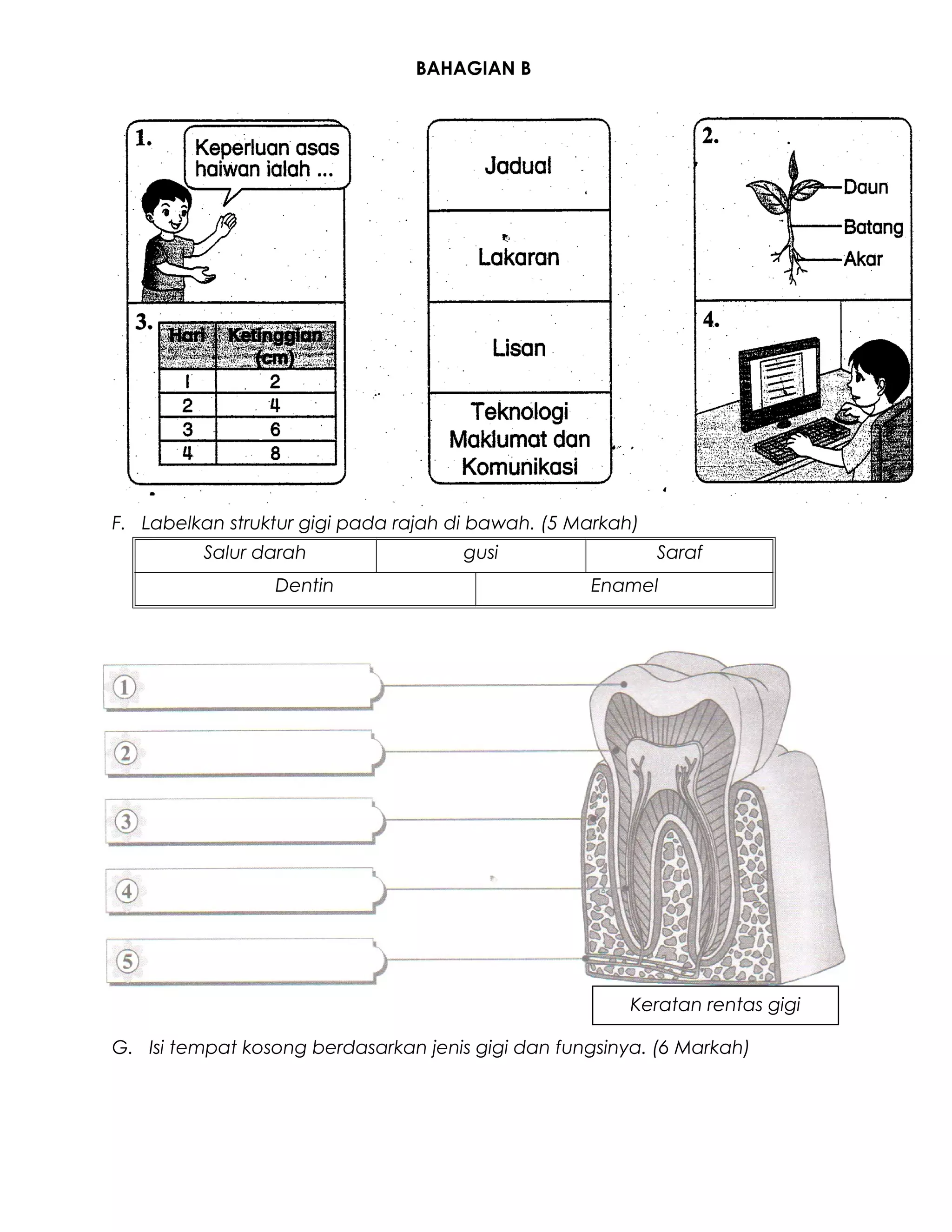 Soalan sains tahun 3 | DOC