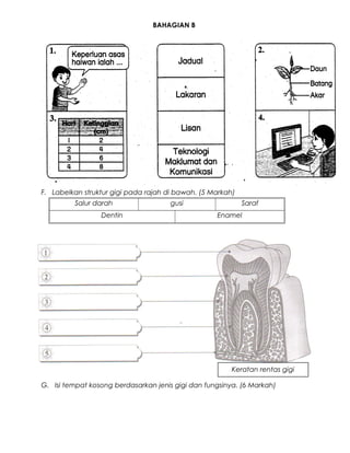 Soalan sains tahun 3 | DOC