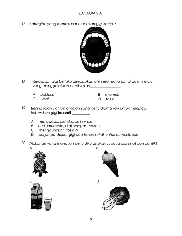 Soalan sains tahun 3 | DOC