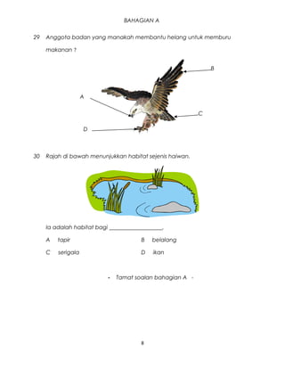 Soalan sains tahun 3 | DOC