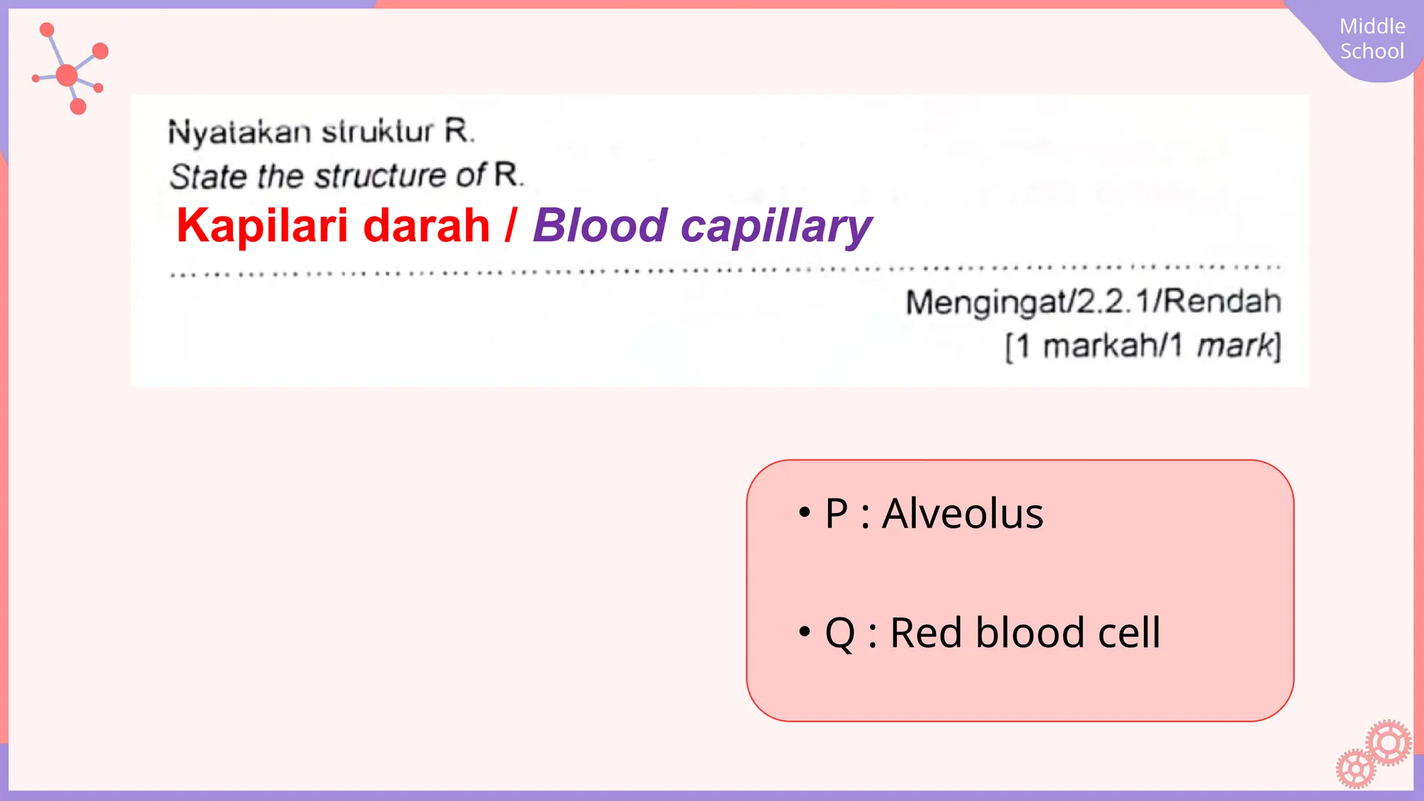 Contoh soalan Sains T3 Bahagian C soalan no 3 dan 4.pptx