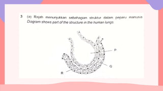 Contoh soalan Sains T3 Bahagian C soalan no 3 dan 4.pptx