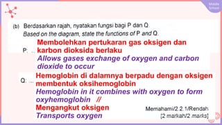 Contoh soalan Sains T3 Bahagian C soalan no 3 dan 4.pptx