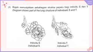 Contoh soalan Sains T3 Bahagian C soalan no 3 dan 4.pptx