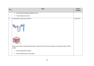 SOAL BIOLOGI KELAS XI SMA Negeri 1 Kalabahi | PPT