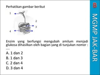Soal biologi un 2012 skl no.29 sistem pencernaan | PDF