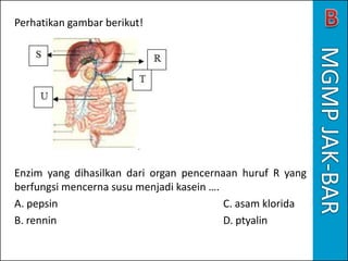 Soal biologi un 2012 skl no.29 sistem pencernaan | PDF