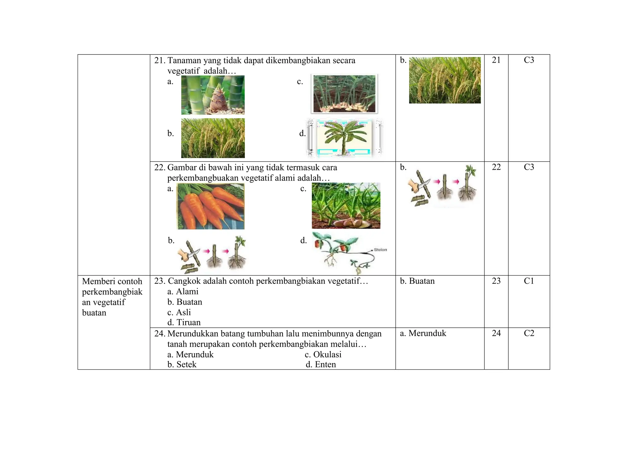 SOAL EVALUASI MATERI SISTEM PERKEMBANG BIAKAN TUMBUHAN.docx