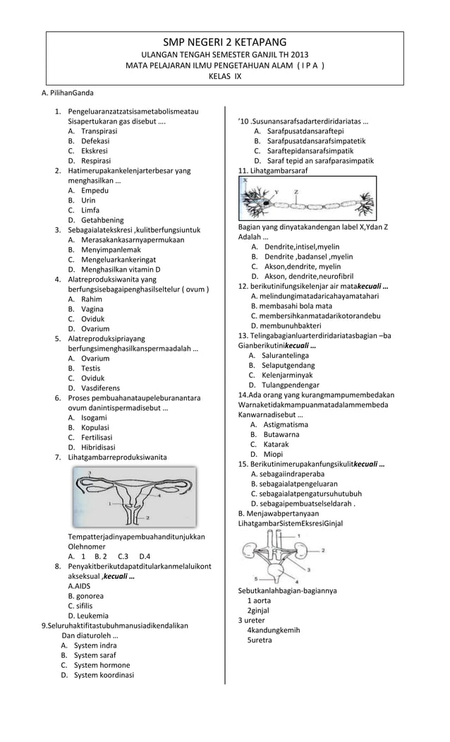 Soal ipa ix uts 2013 | PDF