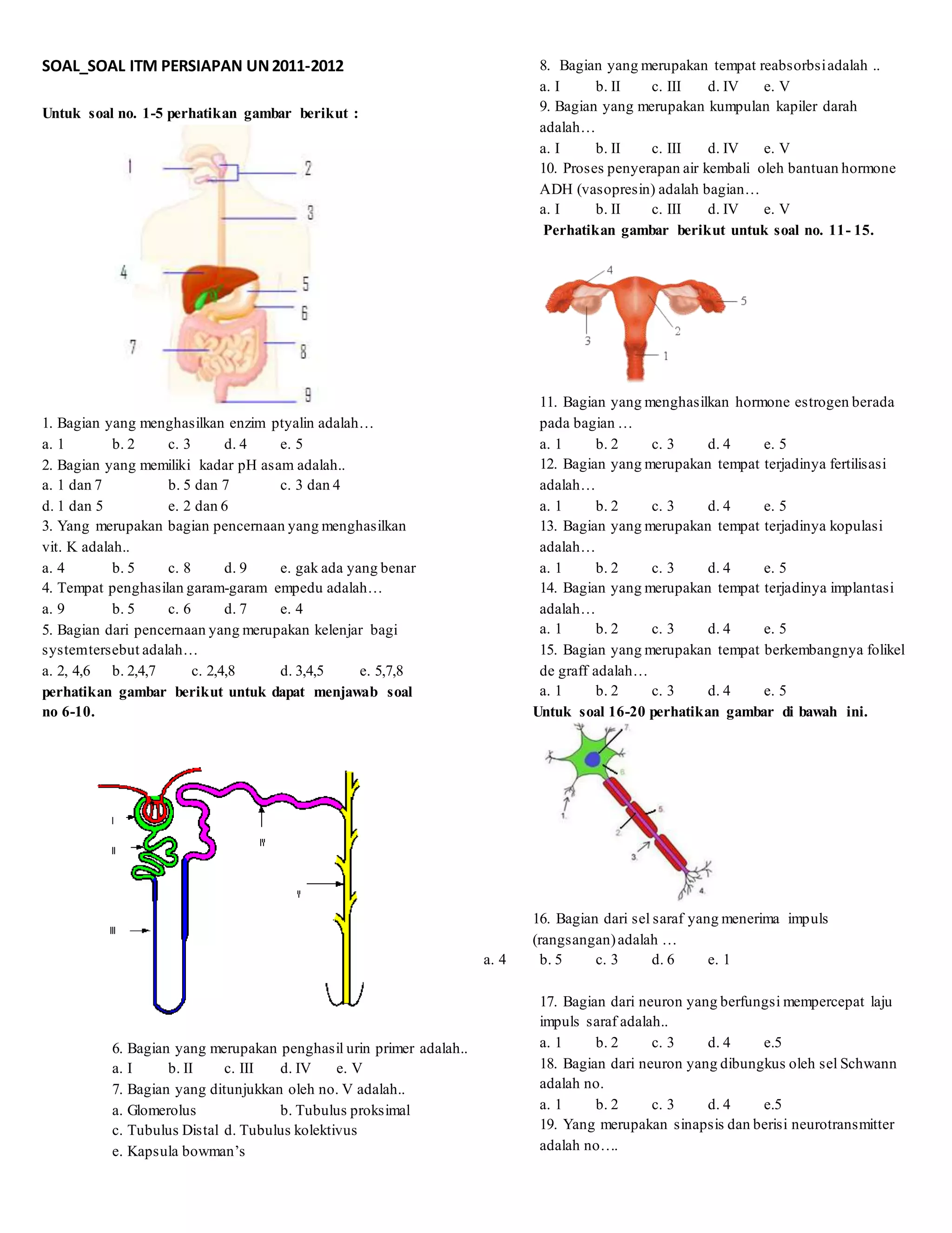 Soal latihan ITM (Ilmu Tubuh Manusia) | DOCX