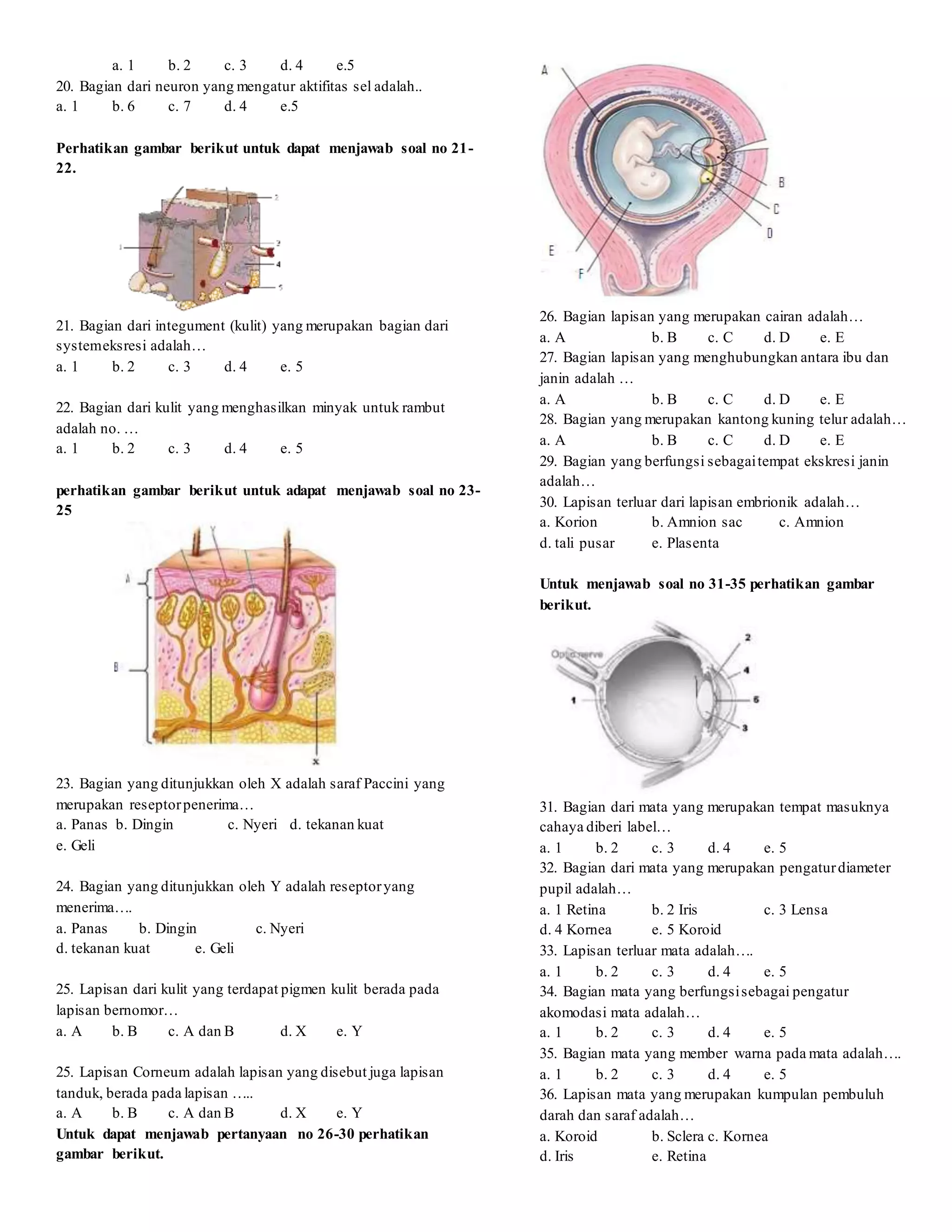 Soal latihan ITM (Ilmu Tubuh Manusia) | DOCX