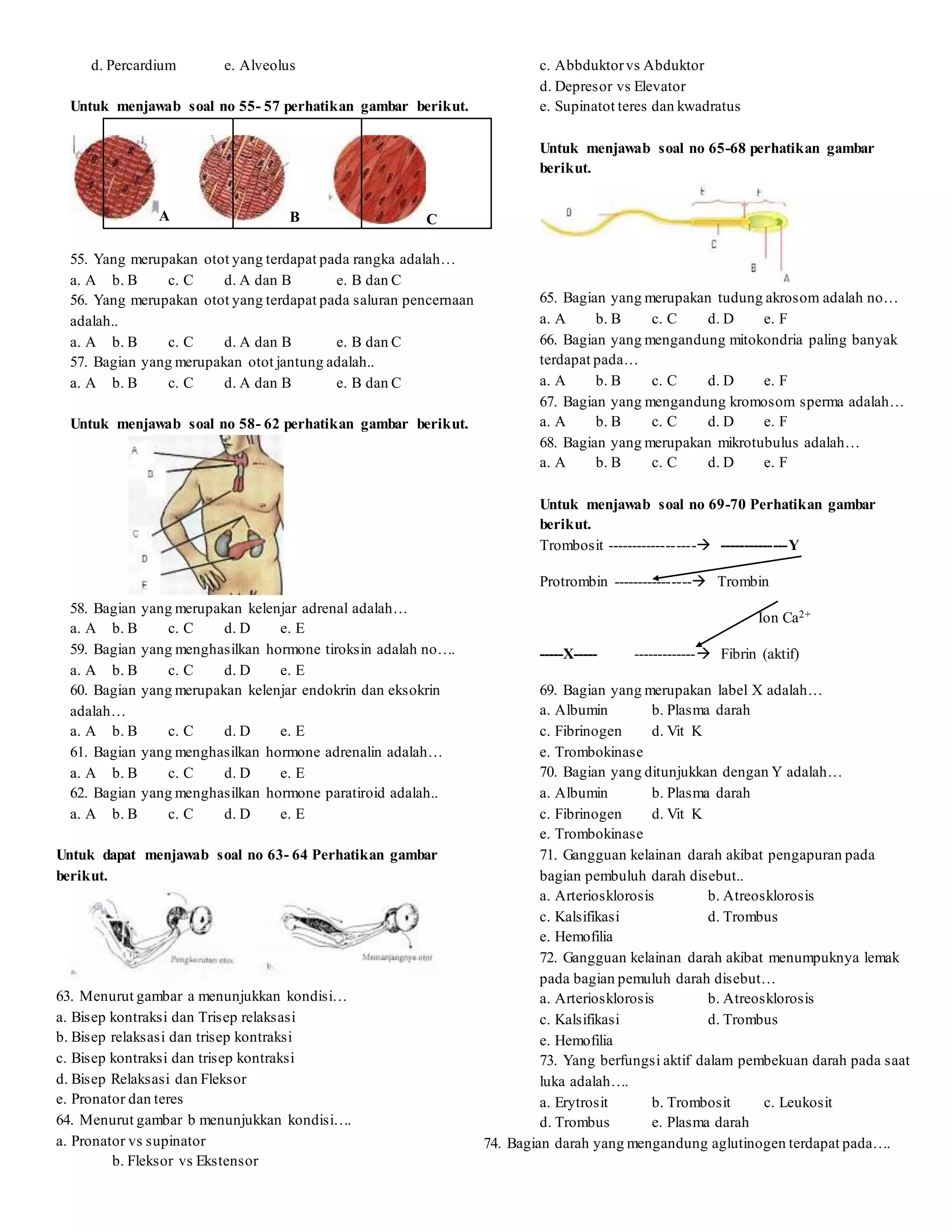 Soal latihan ITM (Ilmu Tubuh Manusia) | DOCX