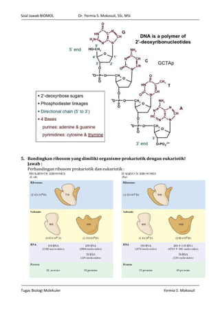 Soal jawab biomol | PDF