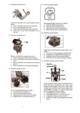 Soal latihan un ipa | PDF